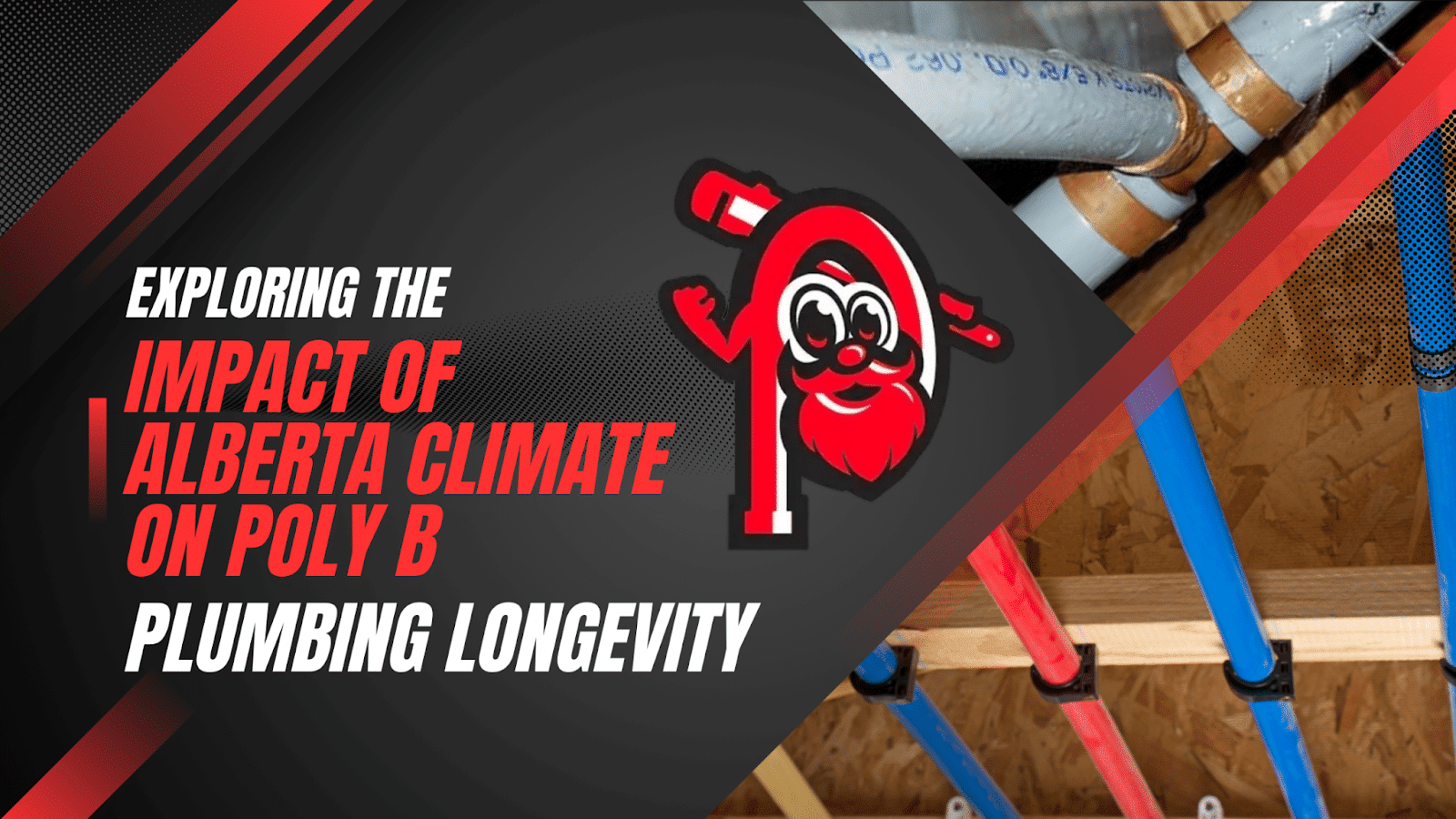 Poly B Pipe Replacement | Exploring the Impact of Alberta Climate on ...