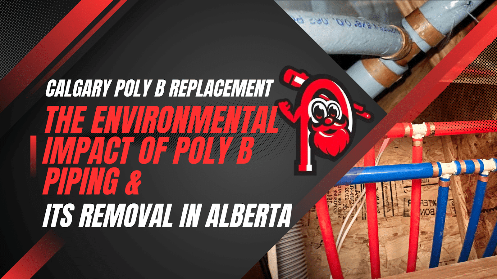 Removing Poly B | Environmental Impact of Poly B Piping & Its Removal