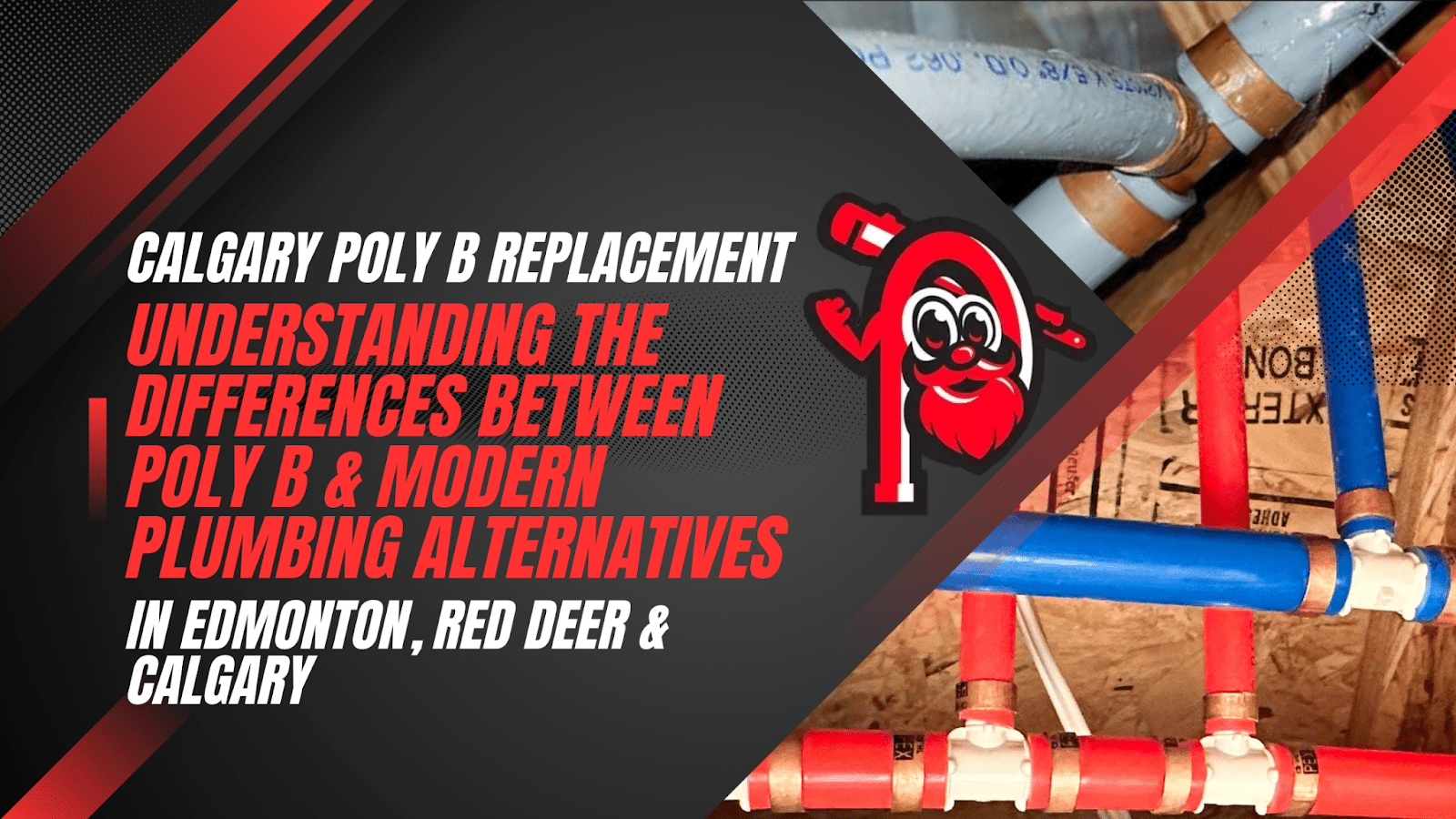 Replacement Poly B Calgary | Differences Between Poly B and Modern Alternatives